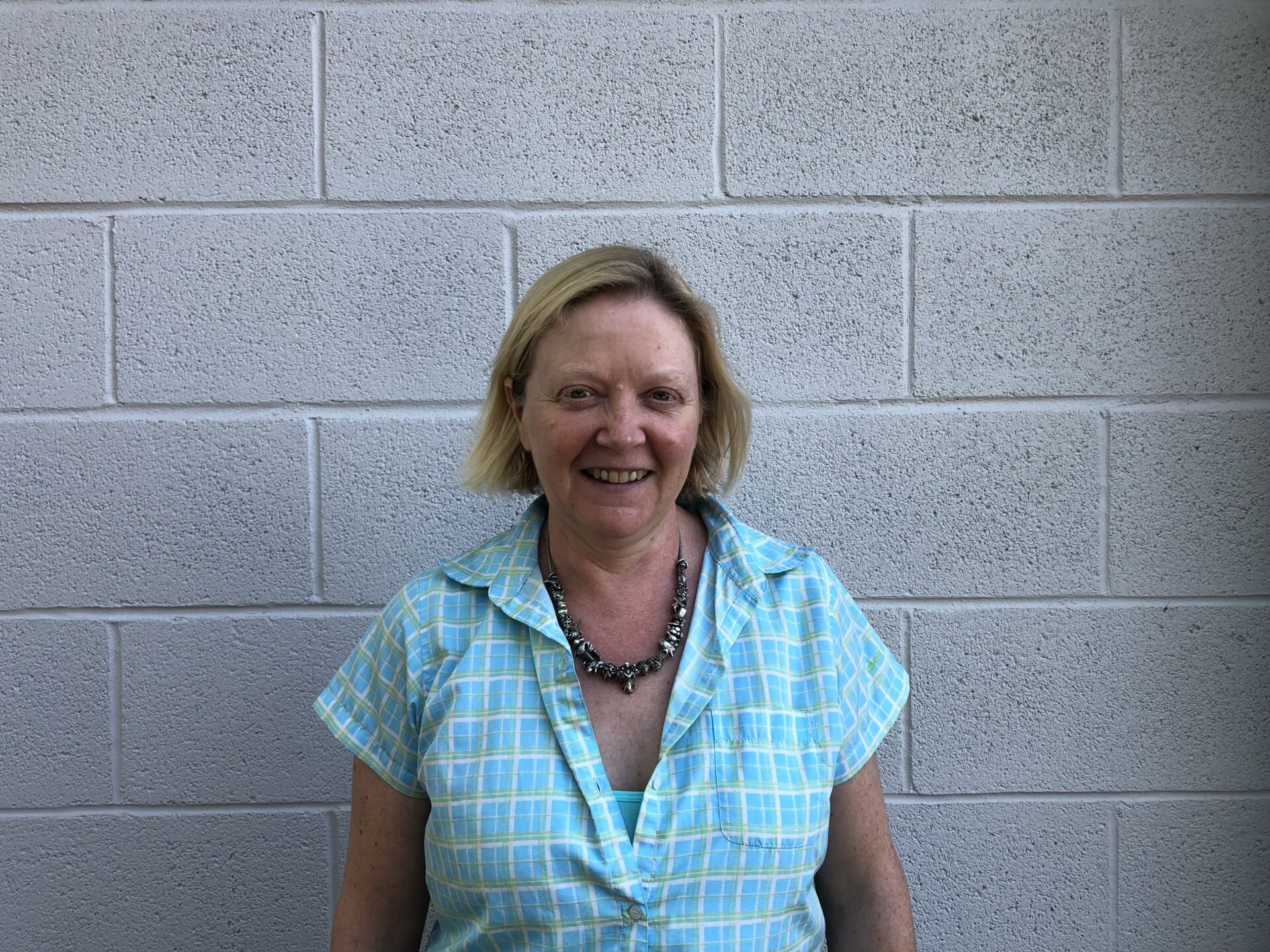 Anne Hills - Fair Frome